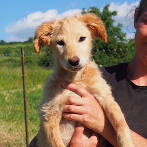 Liz | Animal Care Hungary