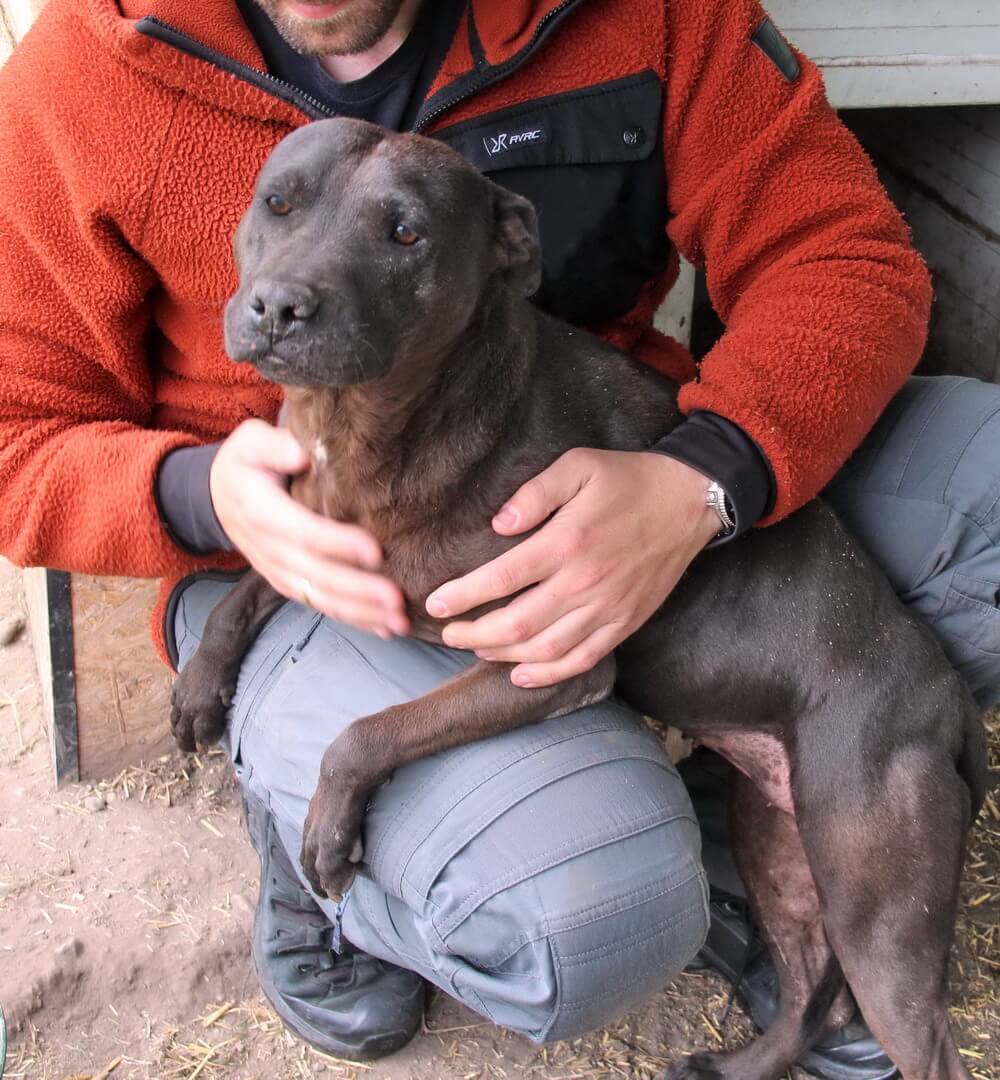 Alma | Animal Care Hungary